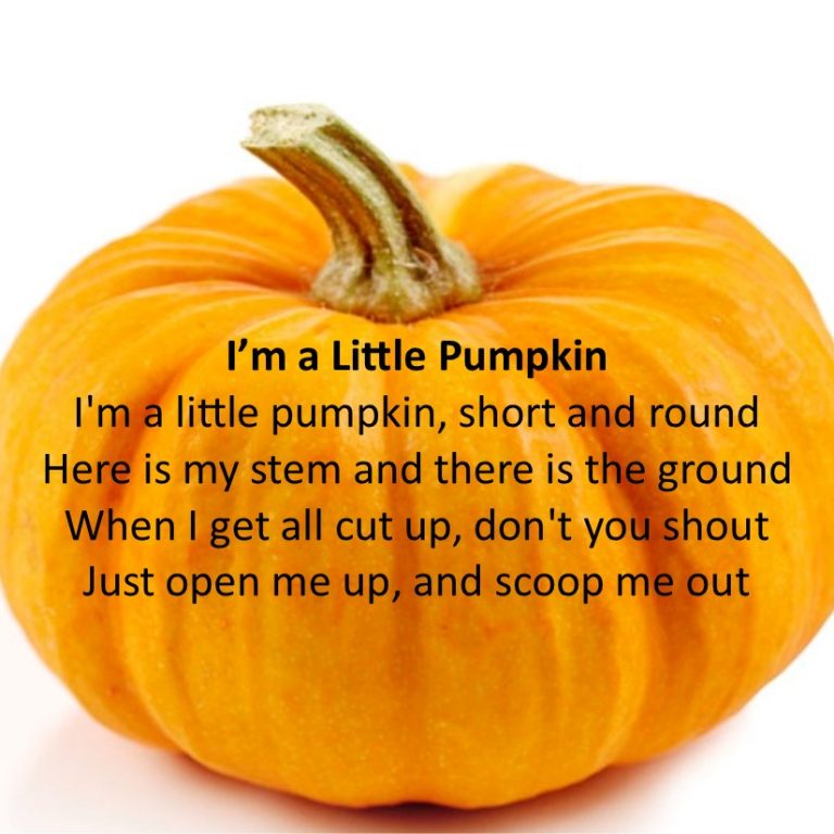 I'm a Little Pumpkin - Peotone Library